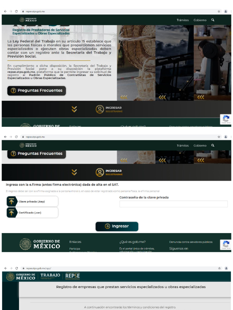 Guia Llenado Repse | PDF