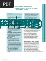 Green Book of Immunisation 28a Shingles | PDF | Immunology | Clinical ...