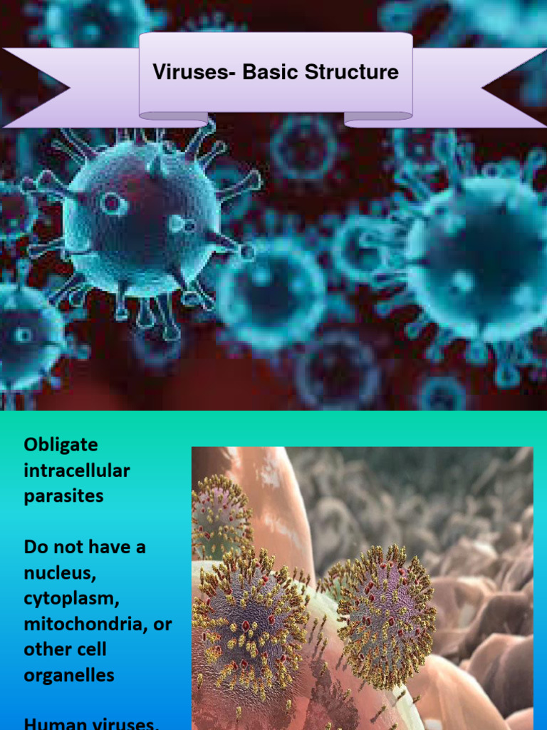 Viruses - Basic Structure | PDF