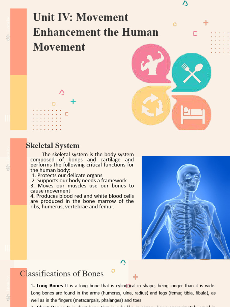 PathFit 1 | PDF | Anatomical Terms Of Motion | Musculoskeletal System