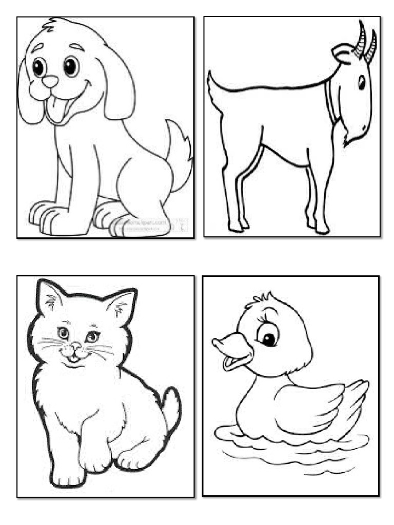 IMs Reading Week1 | PDF