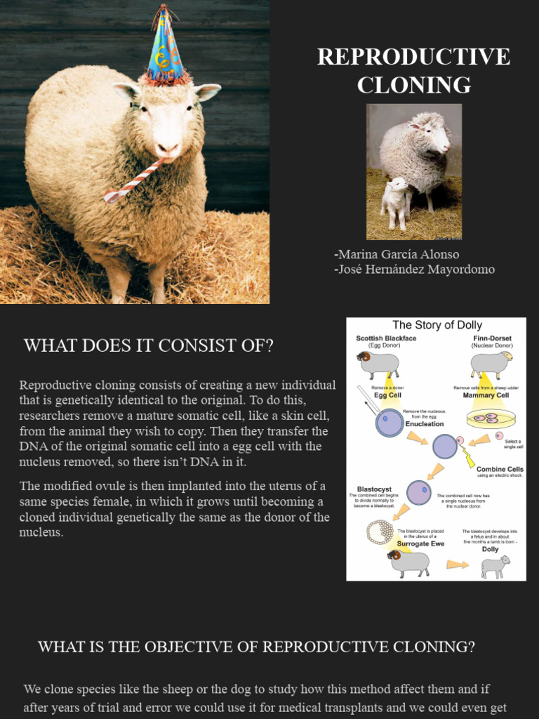 Reproductive Cloning | PDF