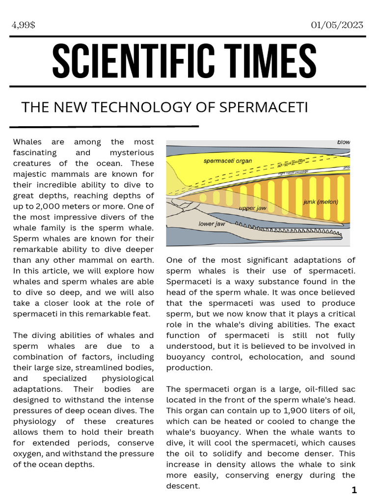Scientific Times | PDF | Whales | Cetaceans