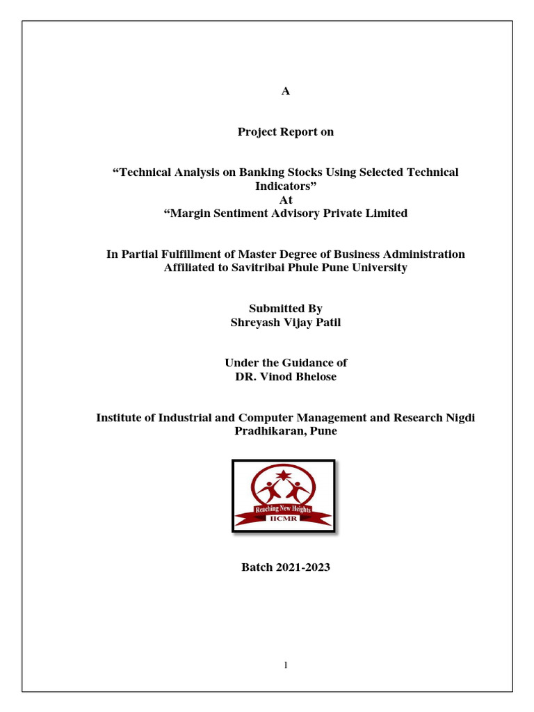 Final Internship Report | PDF