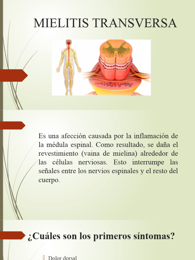 Mielitis Transversa | PDF | Relaciones personales, crianza y desarrollo ...