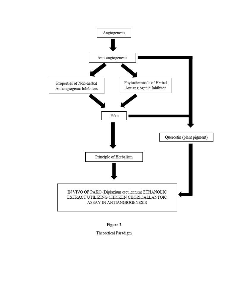 Theoretical Framework | PDF