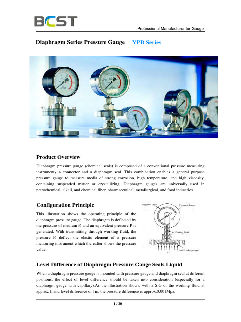 Pressure Gauge-BCST | PDF