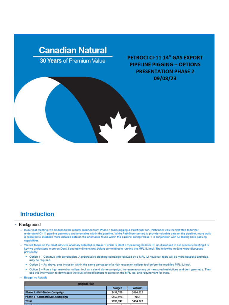 Petroci CI-11 Pipeline Pigging - Options Presentation August 9th | PDF Petroci CI-11 Pipeline Pigging - Options Presentation August 9th | PDF