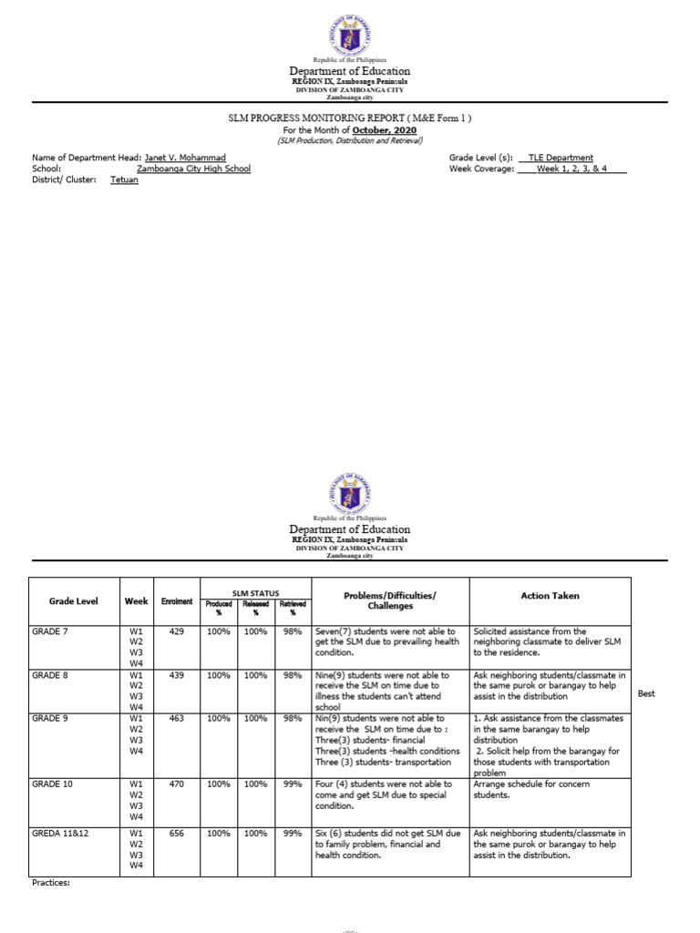 Quarterly SLM Progress Monitoring Report | PDF