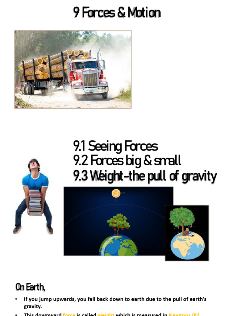 Understanding Forces and Motion | PDF