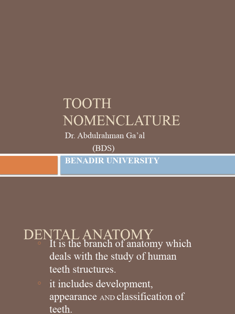 Tooth Nomenclature | PDF