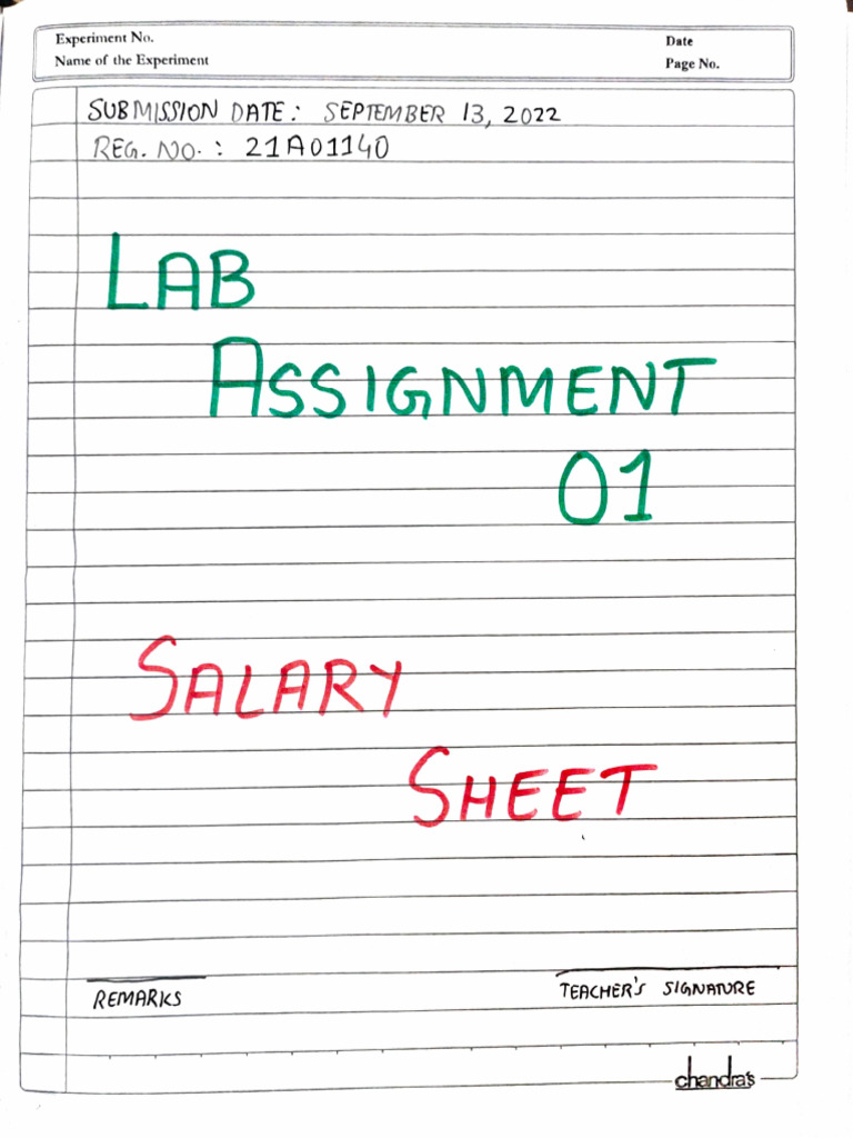 Advance Excel Lab Assignment | PDF