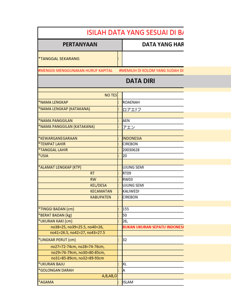 DRAFT CV SO KKS MG ROAENAH v.1.1228.1 | PDF