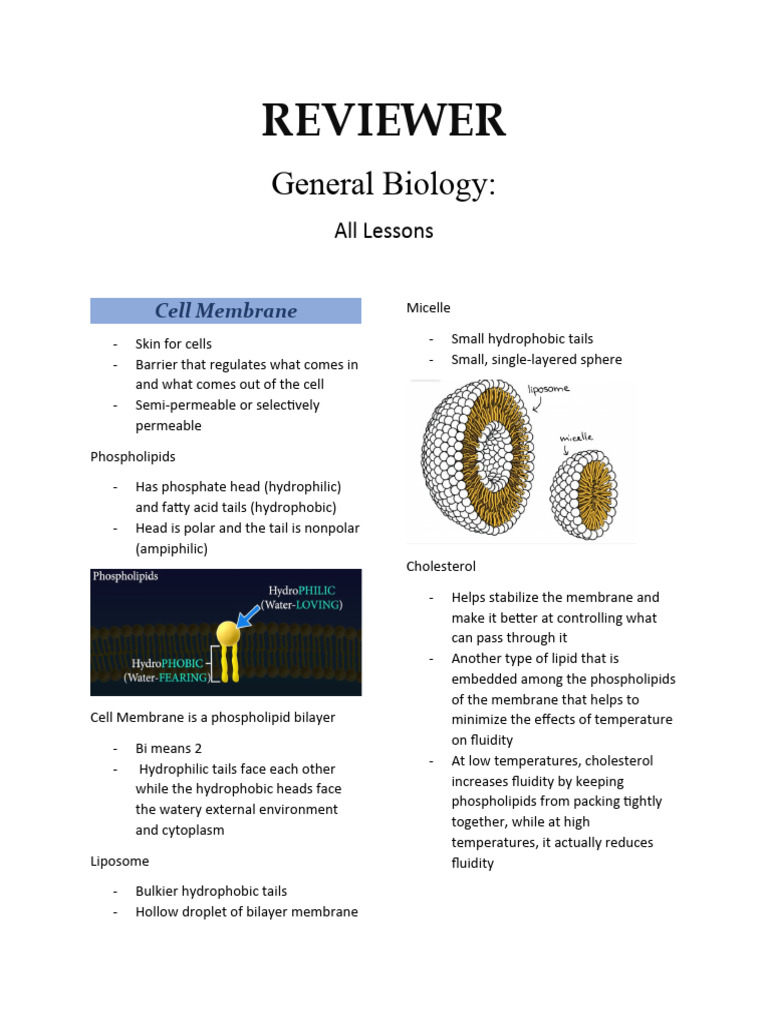 General Biology 2nd Quarter Reviewer | PDF | Adenosine Triphosphate | Diet & Nutrition
