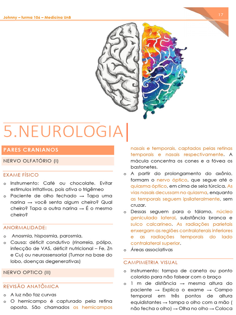 Resumo de Neuro para Geral | PDF