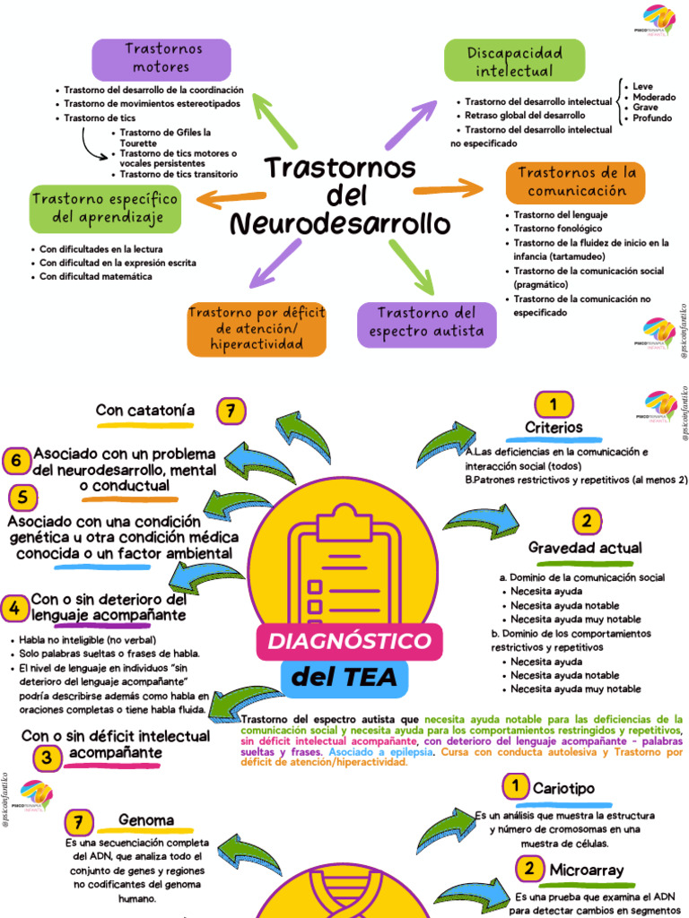 Trastornos Del Neurodesarrollo | PDF