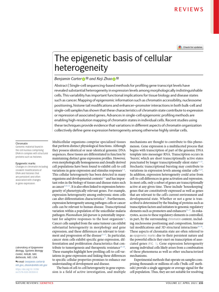 The Epigenetic Basis of Cellular Heterogeneity | PDF | Gene Expression ...