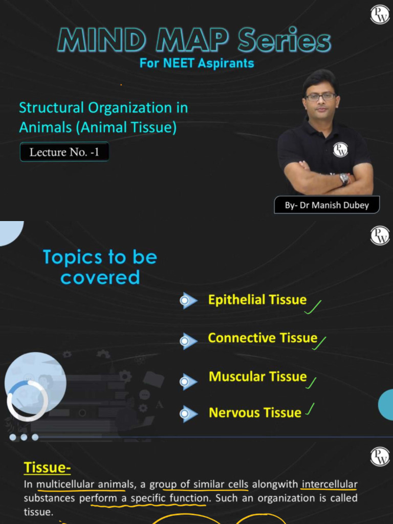 ANIMAL TISSUE - Class Notes - NEET Mindmap | PDF