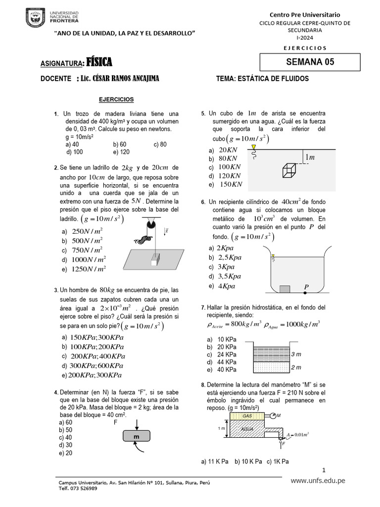FISICA-05_FLUIDOS_Ejercicios24IS | PDF