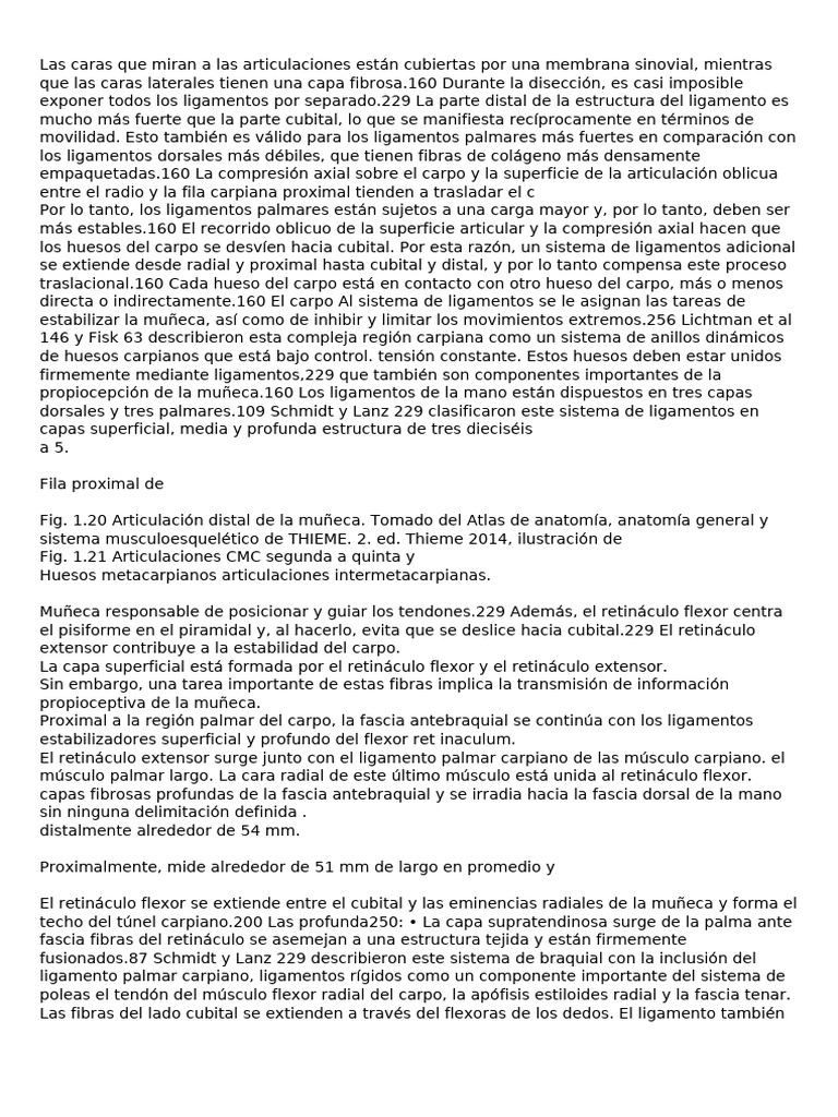 Anatomía y Función de Ligamentos Carpianos | PDF | Mano | Sistema ...
