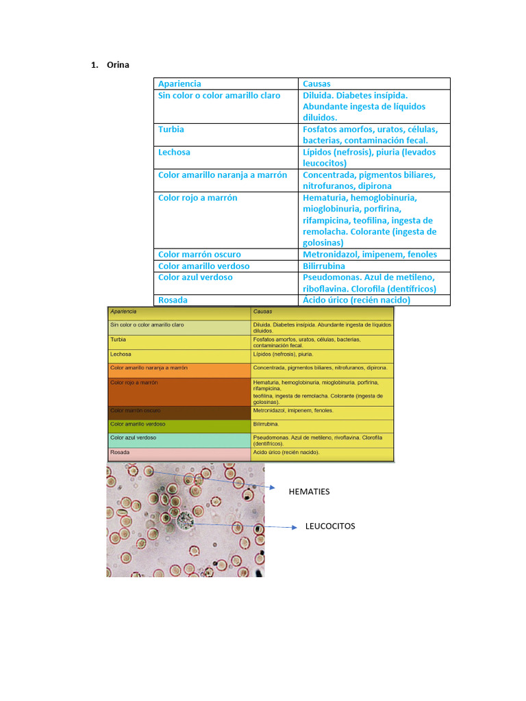 Micro Practica | PDF