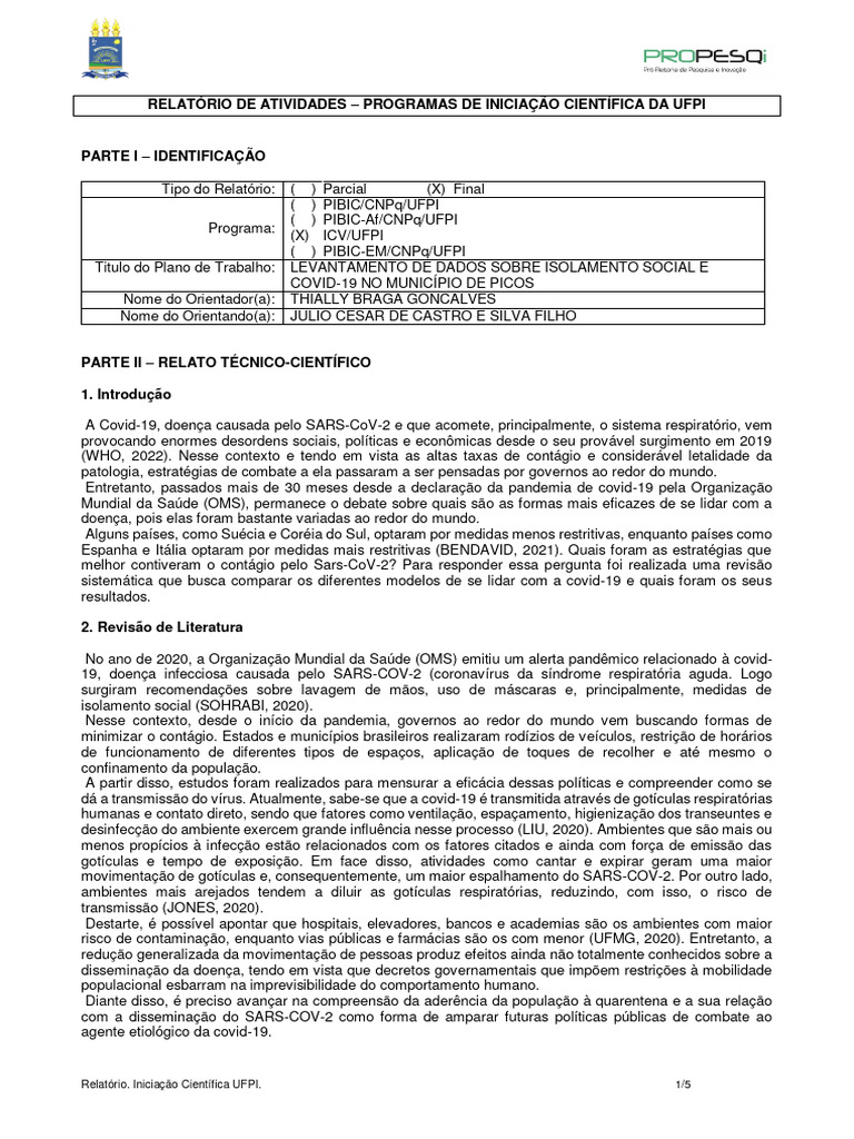 Relatório Da IC | PDF