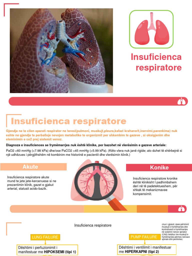 Projekt Pneumo | PDF