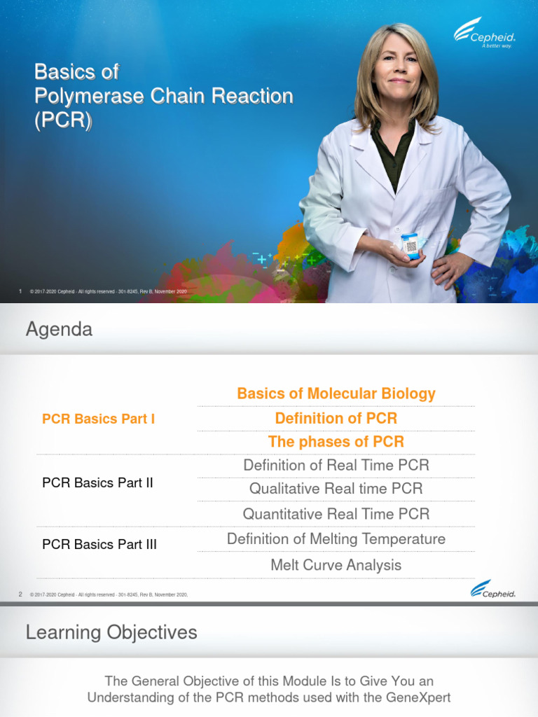 301-8245 PCR Basics I Rev B | PDF | Polymerase Chain Reaction | Primer ...