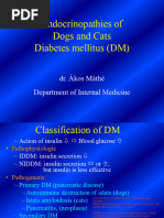 Dexdomitor Dosing Chart Feline PDF | PDF | Anesthesia | Heart Rate