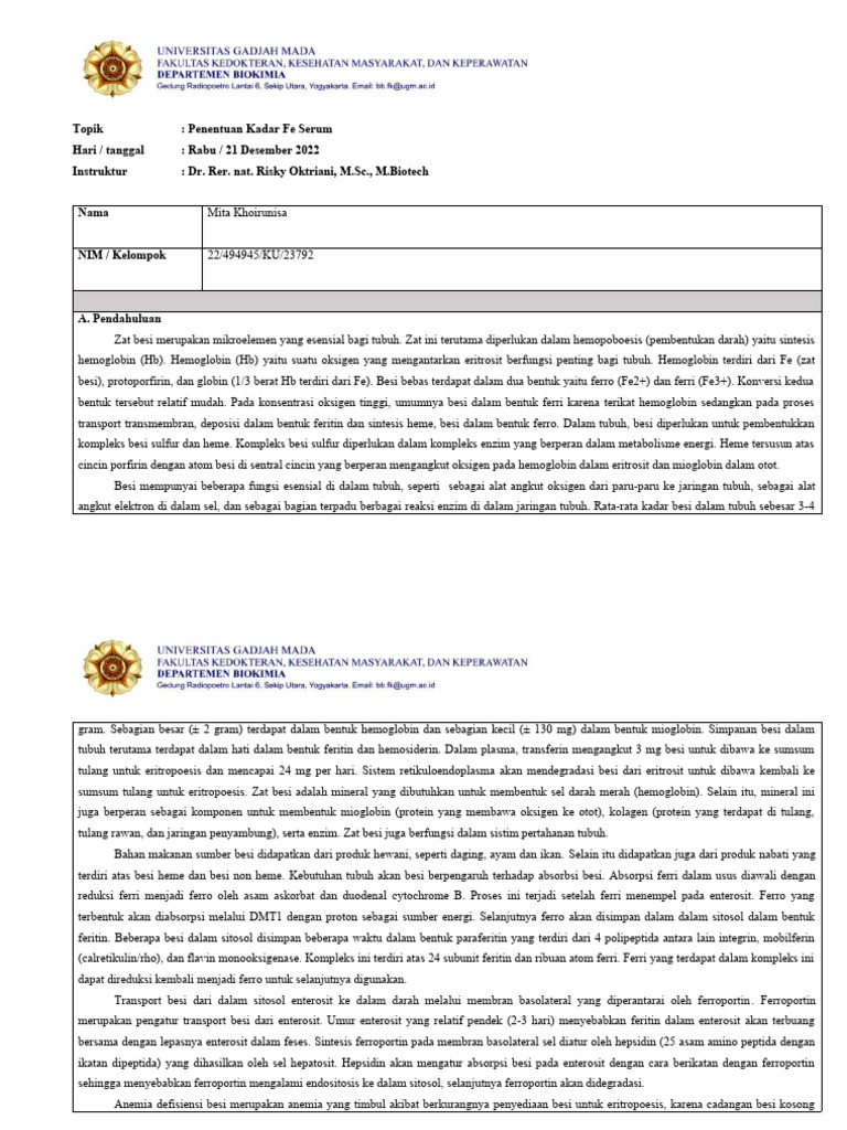 Laporan Praktikum Biokimia Penentuan Kadar Fe Serum Mita Khoirunisa | PDF