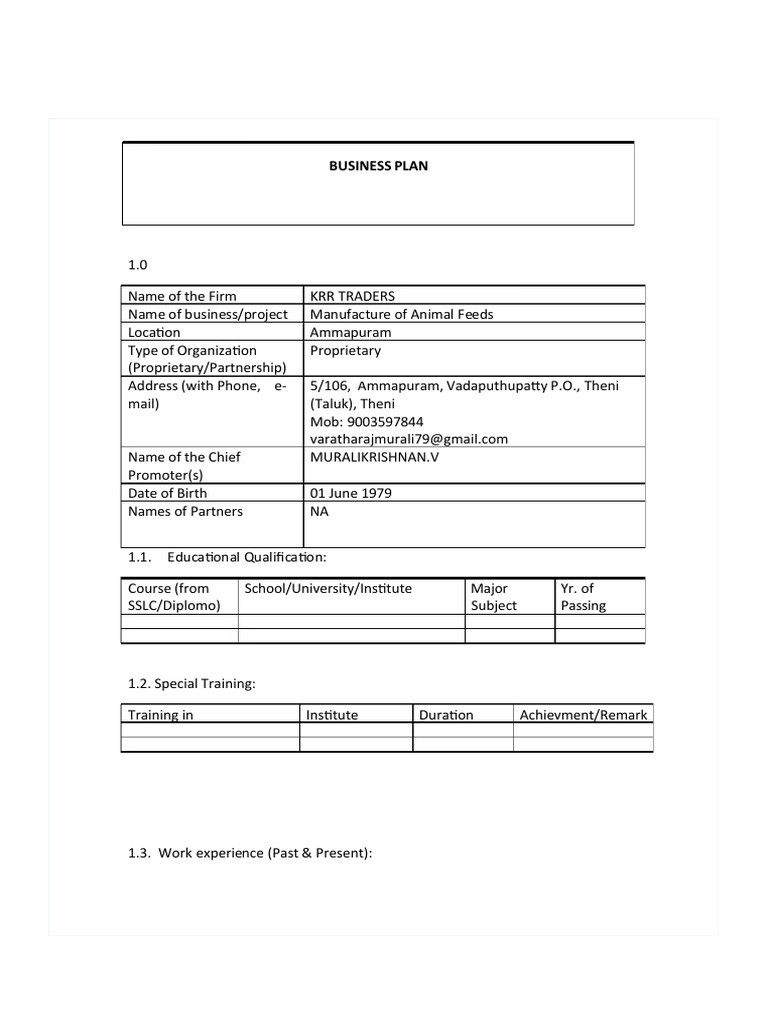 Business Plan Format Sss | PDF