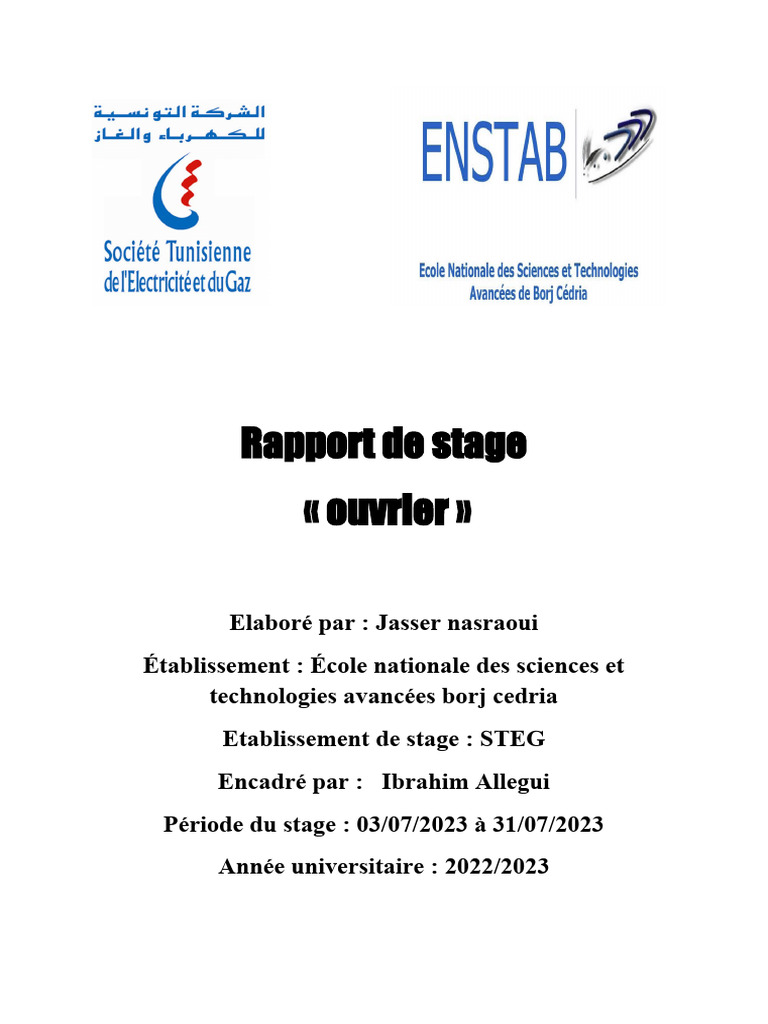 Rapport de Stage à STEG 2023 | PDF