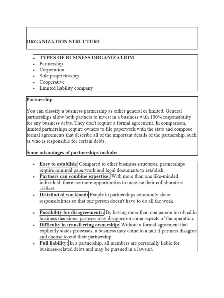 Organization Structure | PDF
