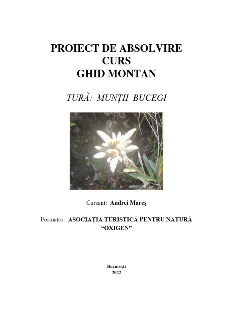 Proiect Absolvire Curs | PDF