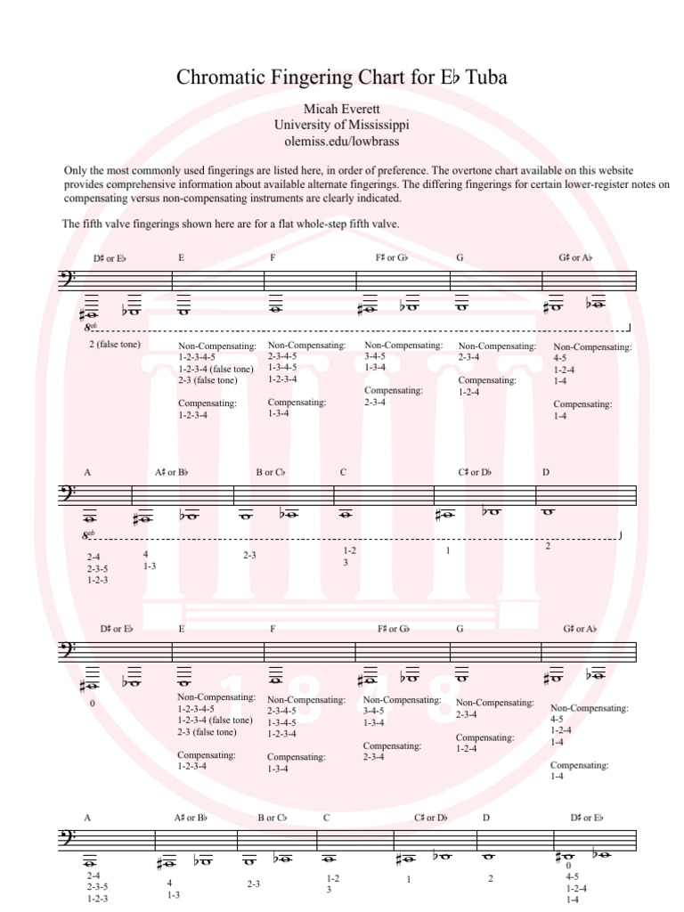 Ebtubafingering | PDF