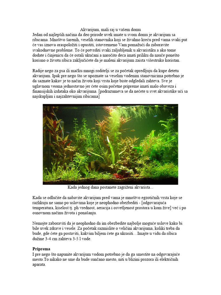 Akvarijum | PDF