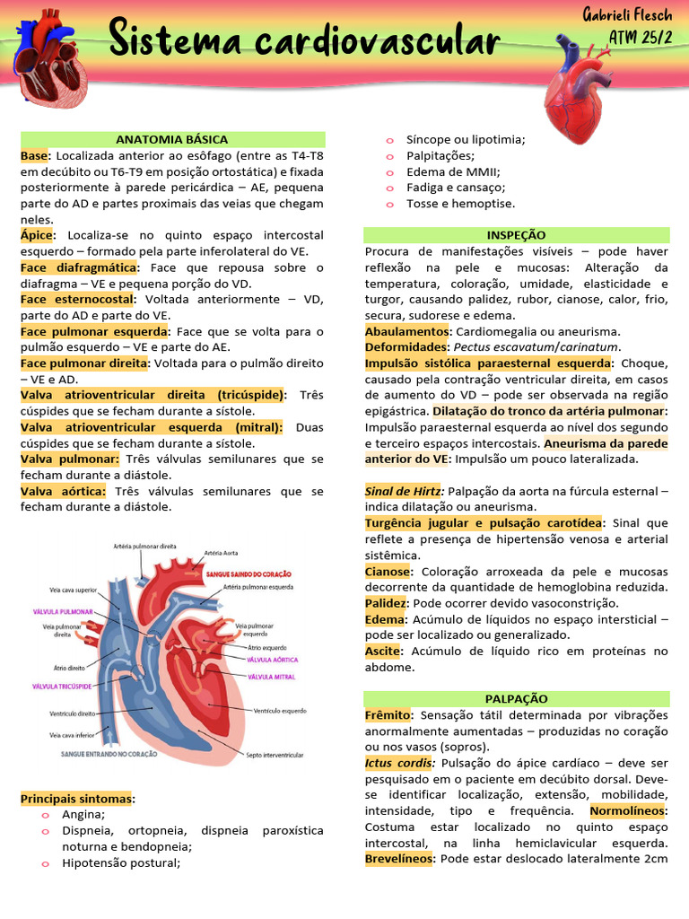 Sistema Cardiovascular - Resumo | PDF