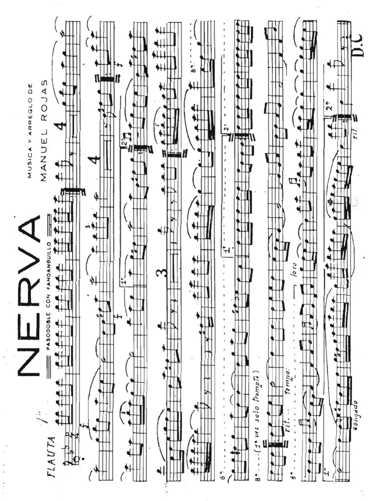 Nerva | PDF
