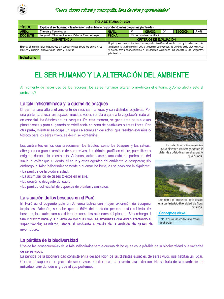 Impacto Humano en el Ambiente | PDF | Deforestación | Destrucción del ...