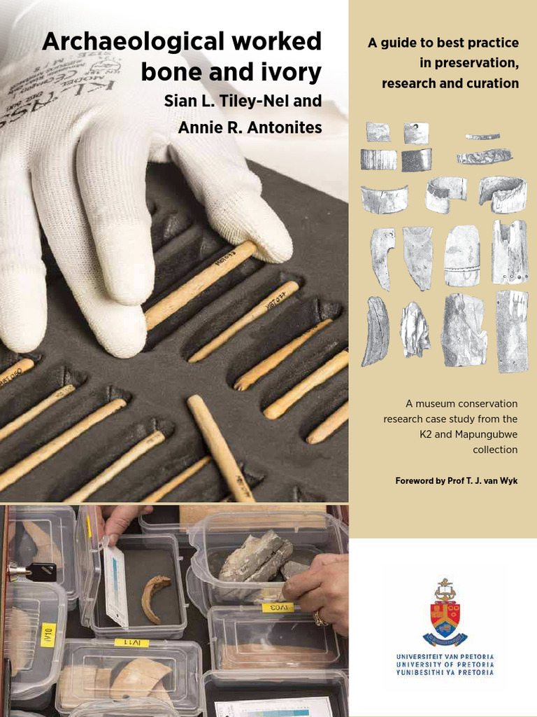 Archaeological Worked Bone and Ivory | PDF | Archaeology | Artifact ...