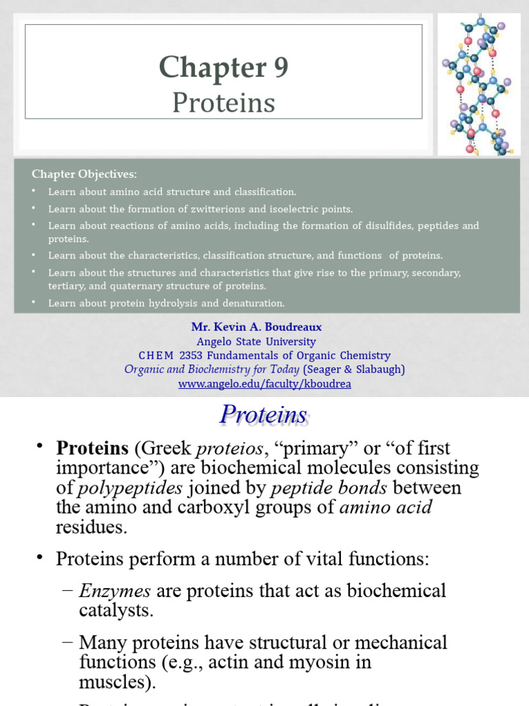 Protein Structure and Fucntions | PDF | Amino Acid | Proteins