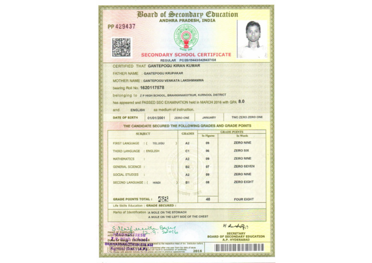 Kiran X Marks Memo | PDF