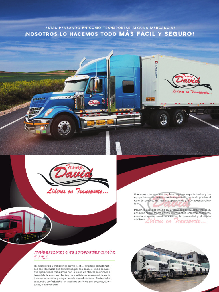 Servicios de Transporte David E.I.R.L. | PDF