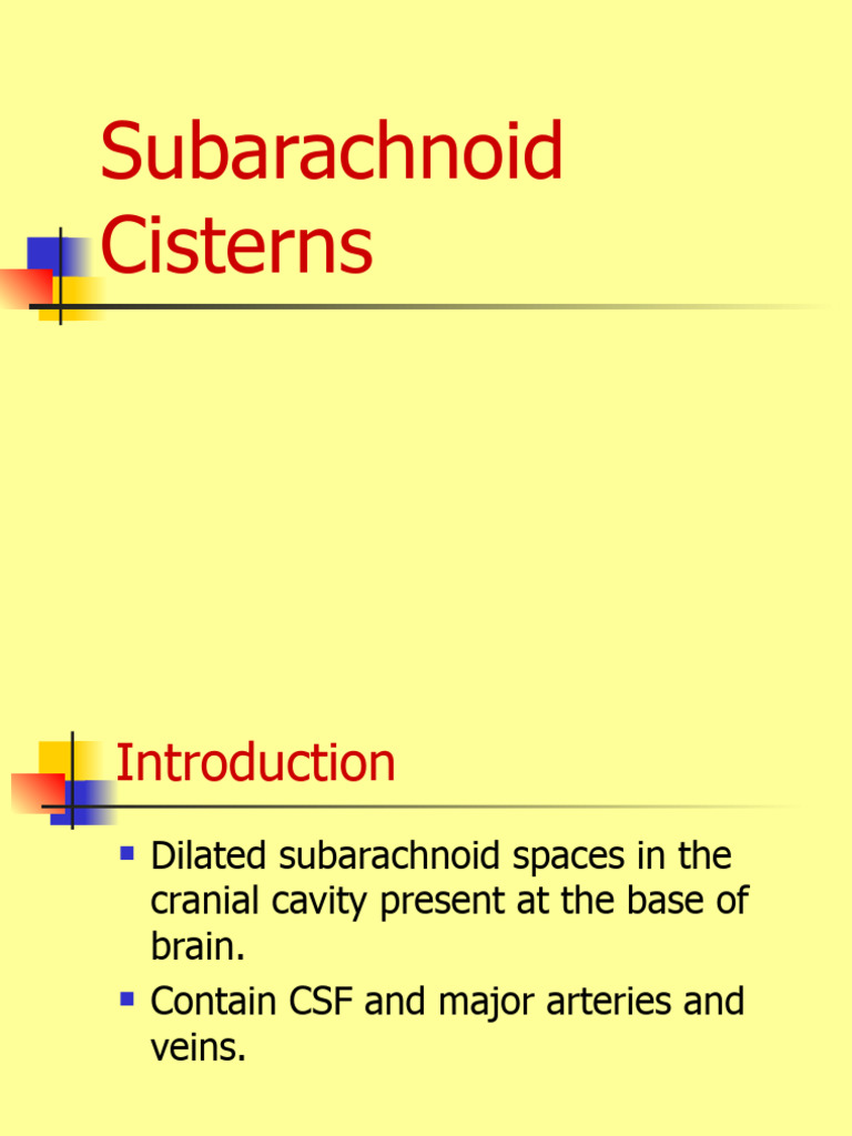 Subarachnoid Cisterns New | PDF