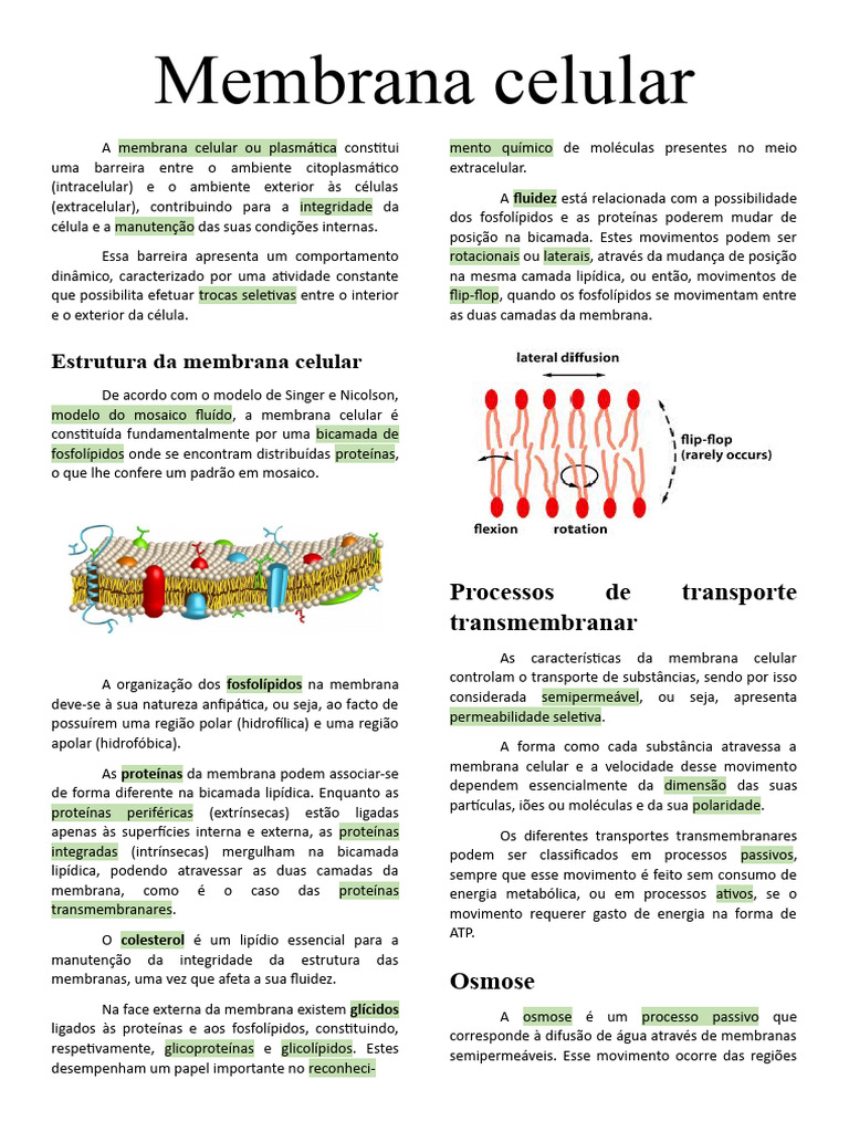 Membrana Celular | PDF