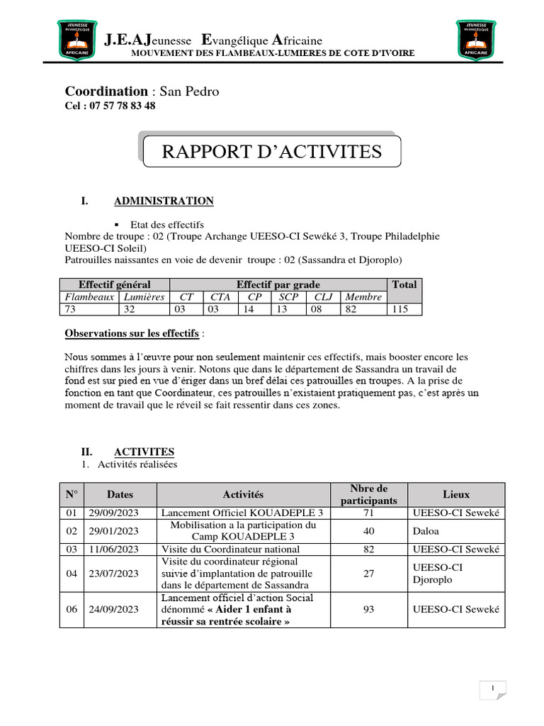 Rapport Dactivité Pdf