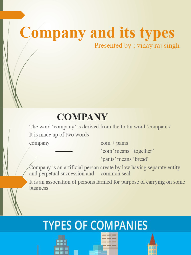 Types of Companies Explained | PDF | Companies | Holding Company