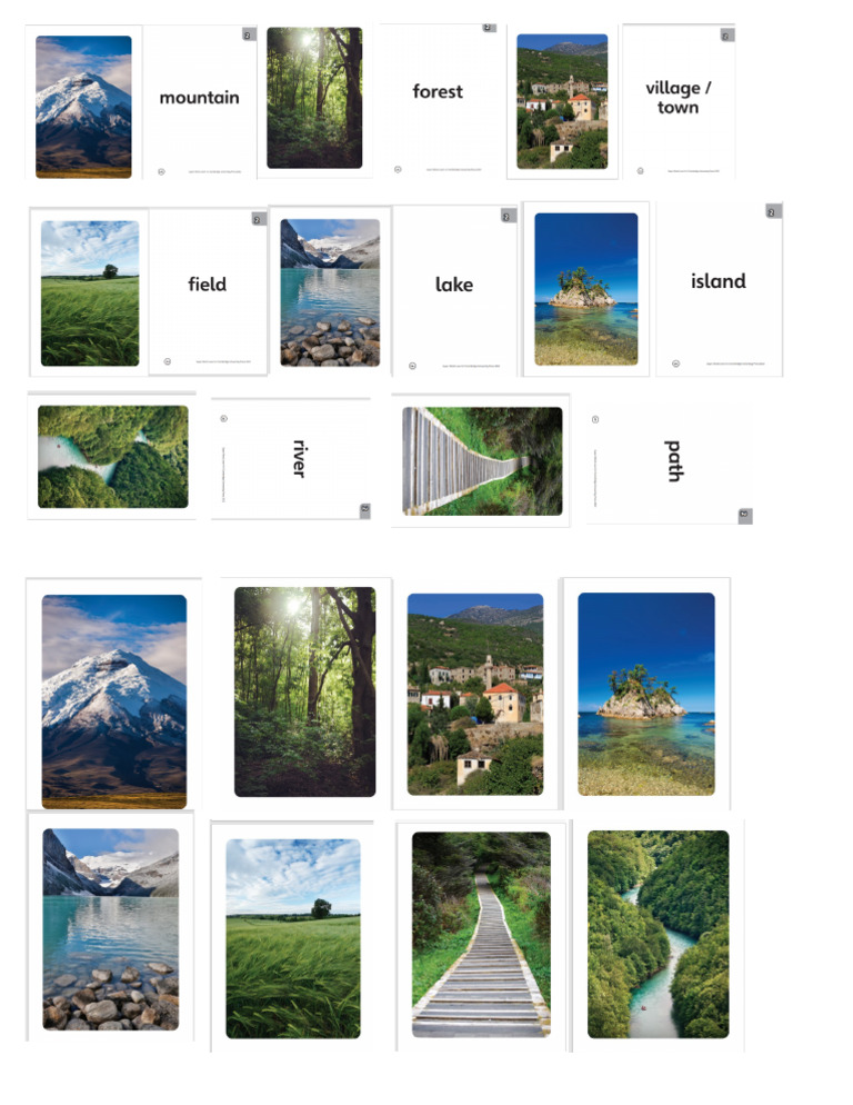 Flashcardsunit 4 Level 4 Kids | PDF