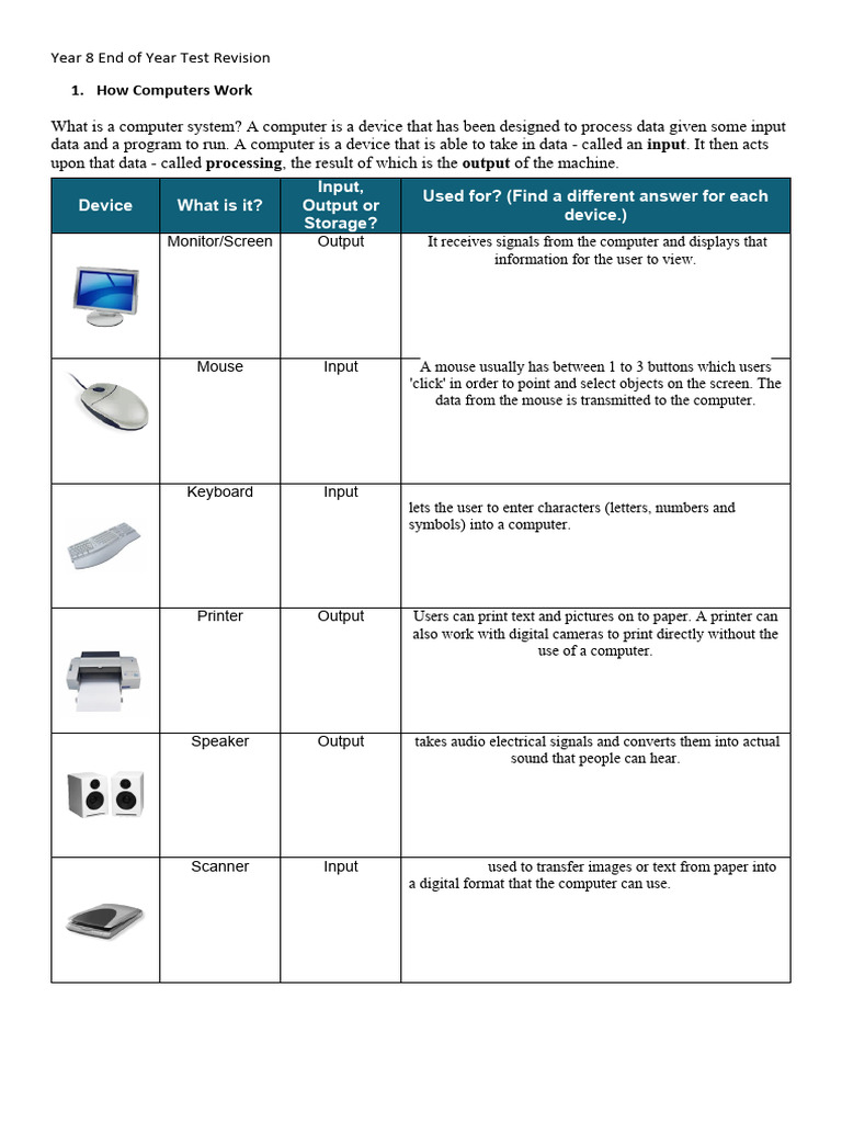 Year 8 Computer Science Guide | PDF | Computer Data Storage | Computer Network