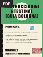 Obstrucción Intestinal por Bridas y Adherencias | PDF | Medicina ...